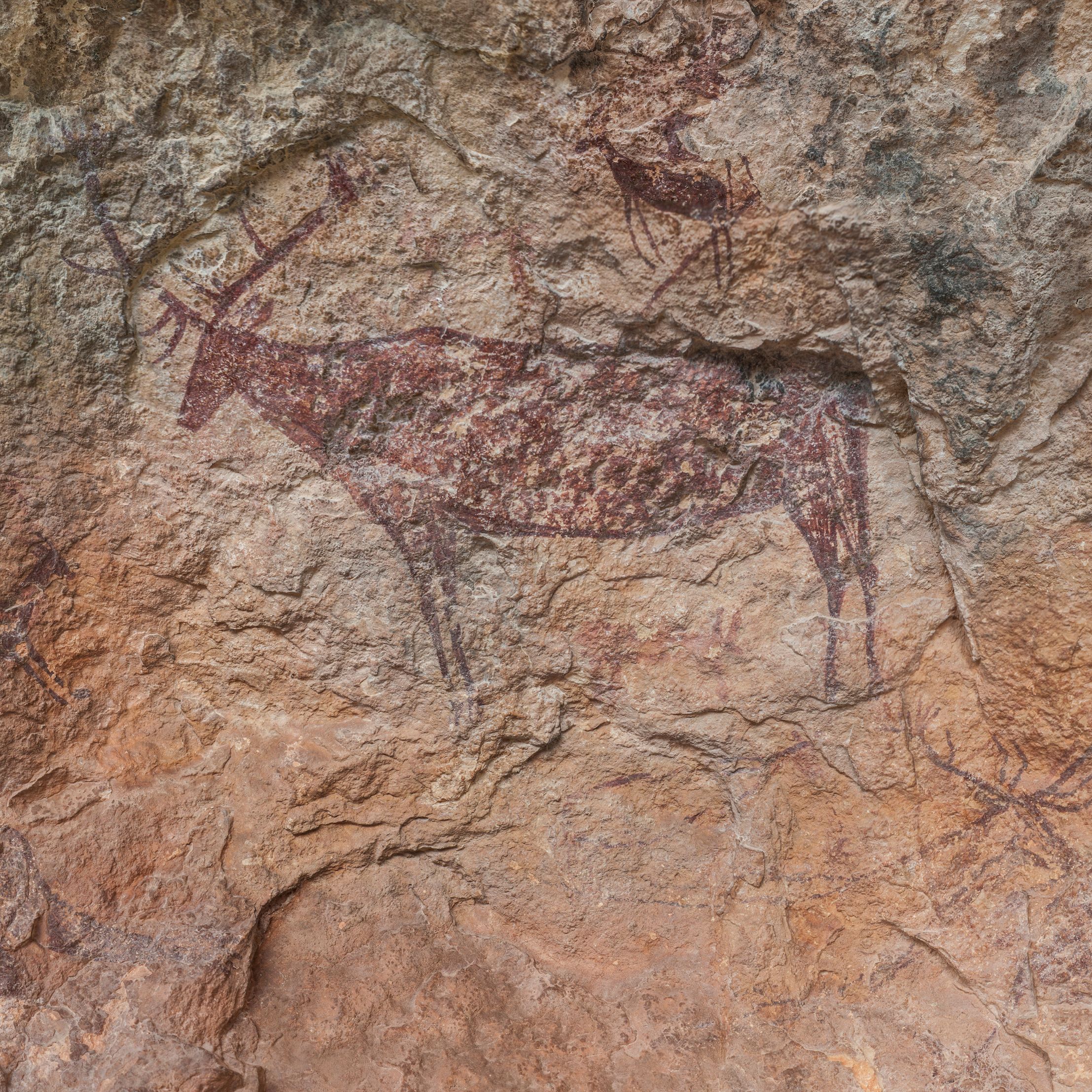 DECACLIM : un nouveau projet ANR pour lutter contre la dégradation des ...